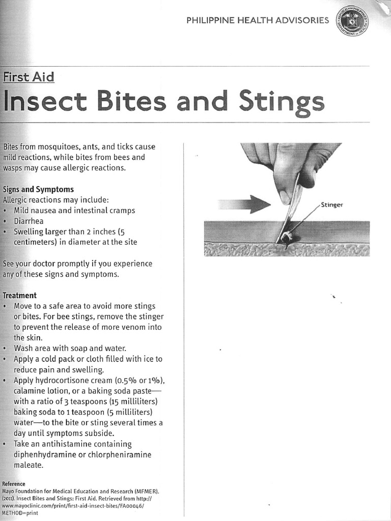 Insect Bites | PDF