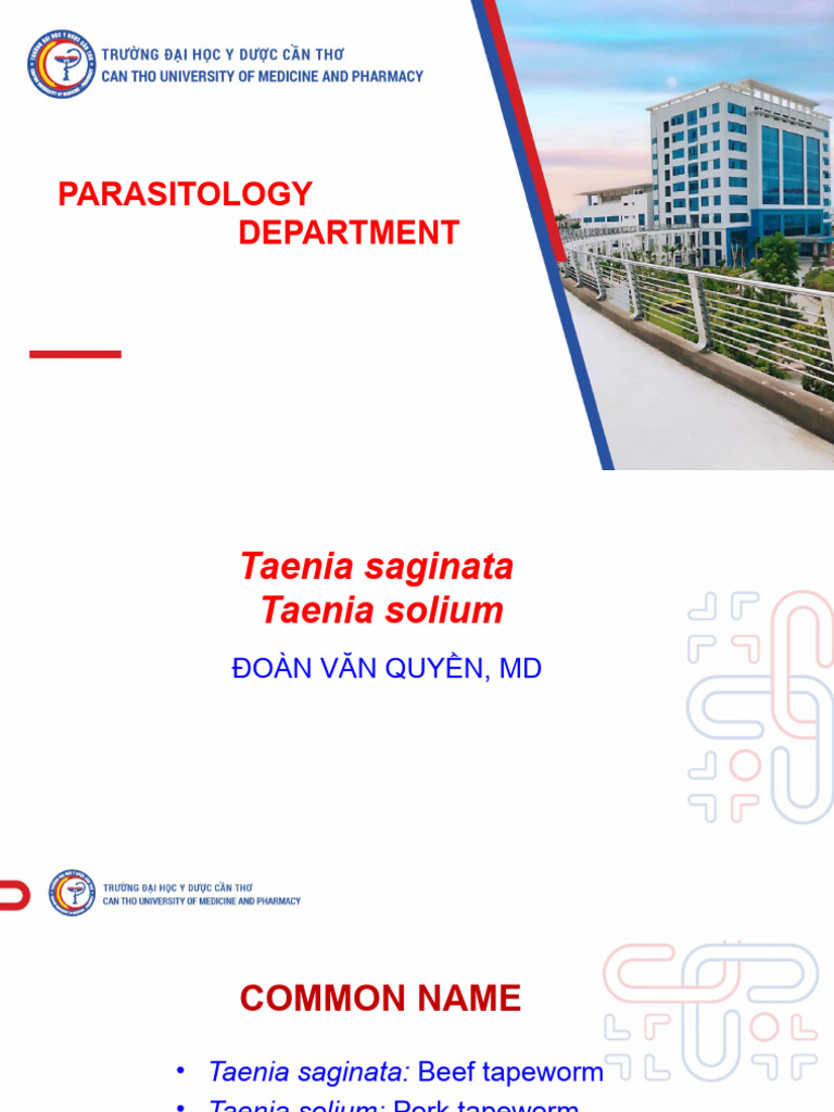 Taenia Solim - Taenia Saginata | PDF | Causes Of Death | Epidemiology