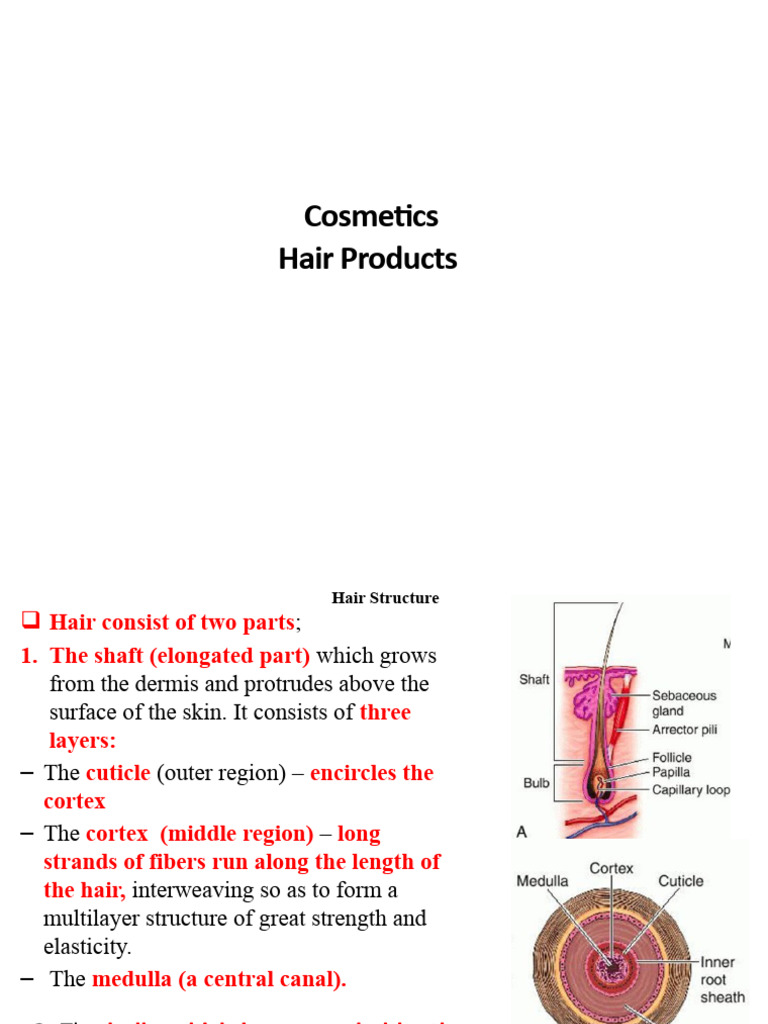 Comprehensive Guide to Hair Structure and Loss | PDF | Hair Loss | Shaving