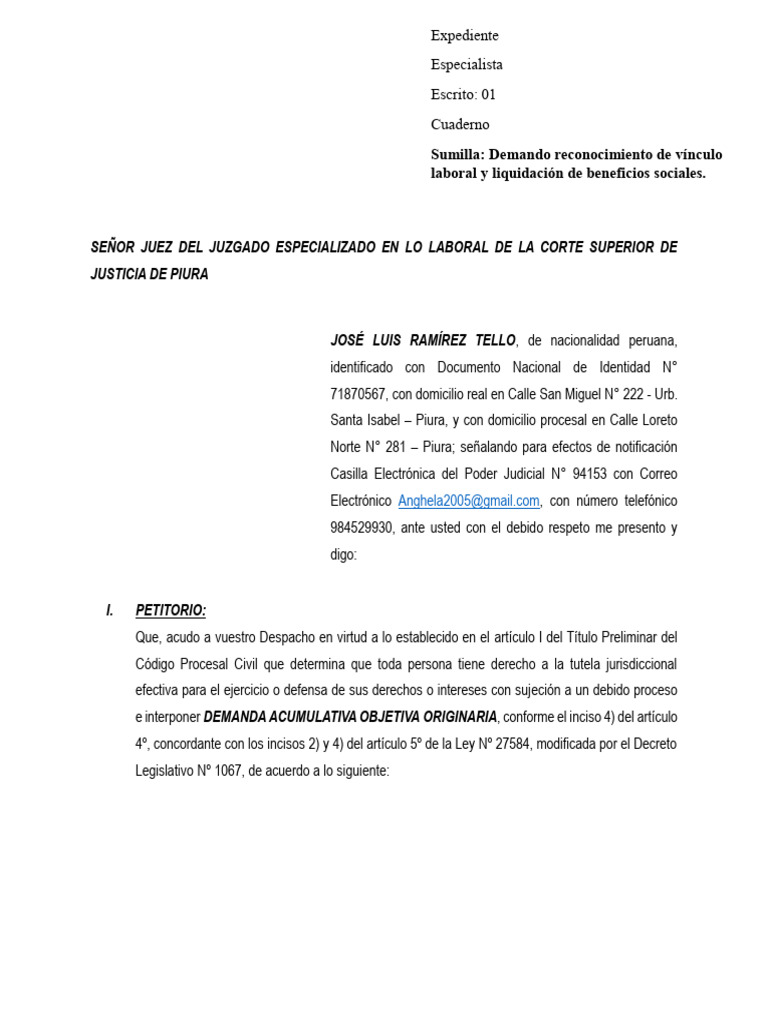 DEMANDA LABORAL RECONOCIMIENTO VINCULO L Y PAGO DE BENEFICIOS SOCIALES | PDF | Derecho laboral ...
