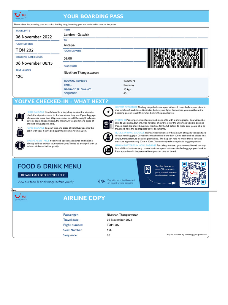 BoardingPass-17200976 | PDF | Baggage | Aviation