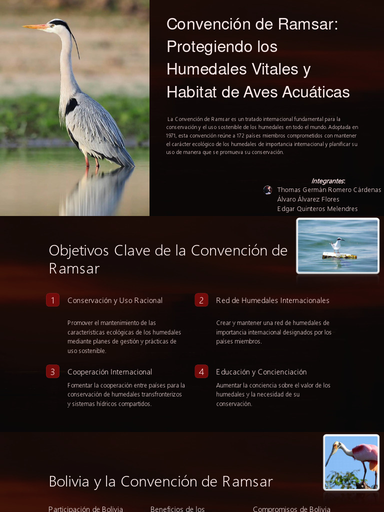 Convencion de Ramsar Protegiendo Los Humedales Vitales | PDF | Humedal | Protección del medio ...