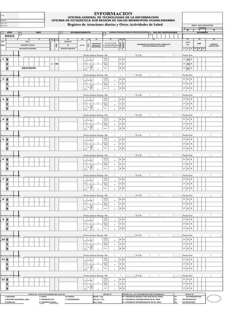 Formato HIS Minsa 2024 para Registros | PDF | Cuidado de la salud ...