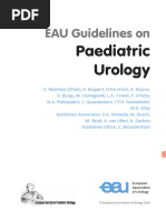 RGU and MCU PPT Final For 18.9.23, Bsmmu | PDF | Urinary System | Urology