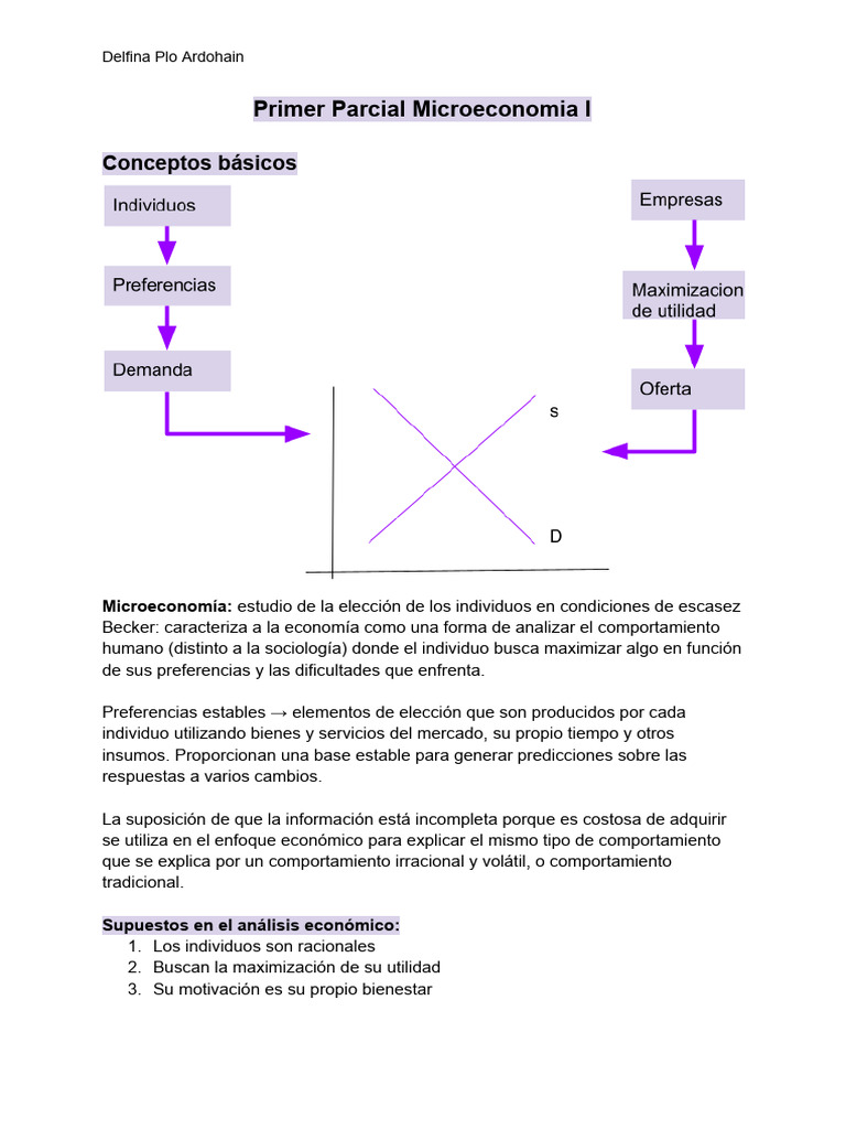 Primer Parcial Micro (Teoria) | PDF | Microeconomía | Excedente económico