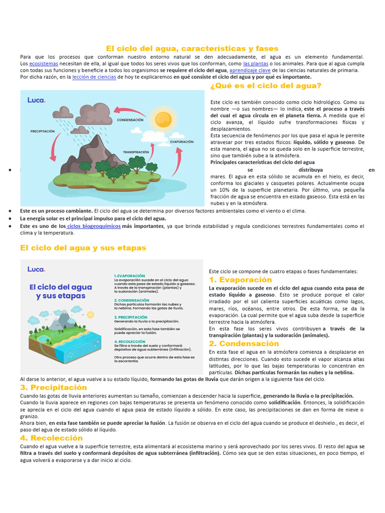 EL CICLO DEL AGUA 2do Grado | PDF | Agua | El ciclo del agua