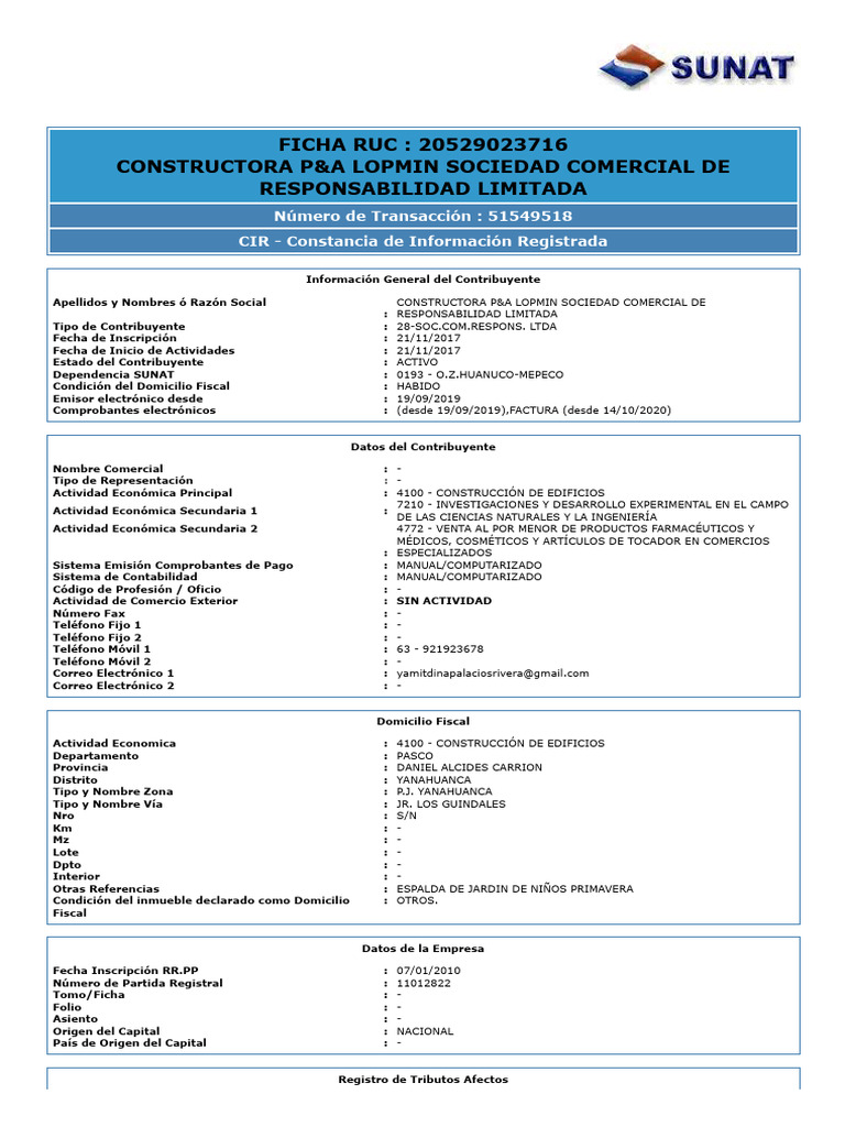 Ficha Ruc | PDF | Industrias de servicio