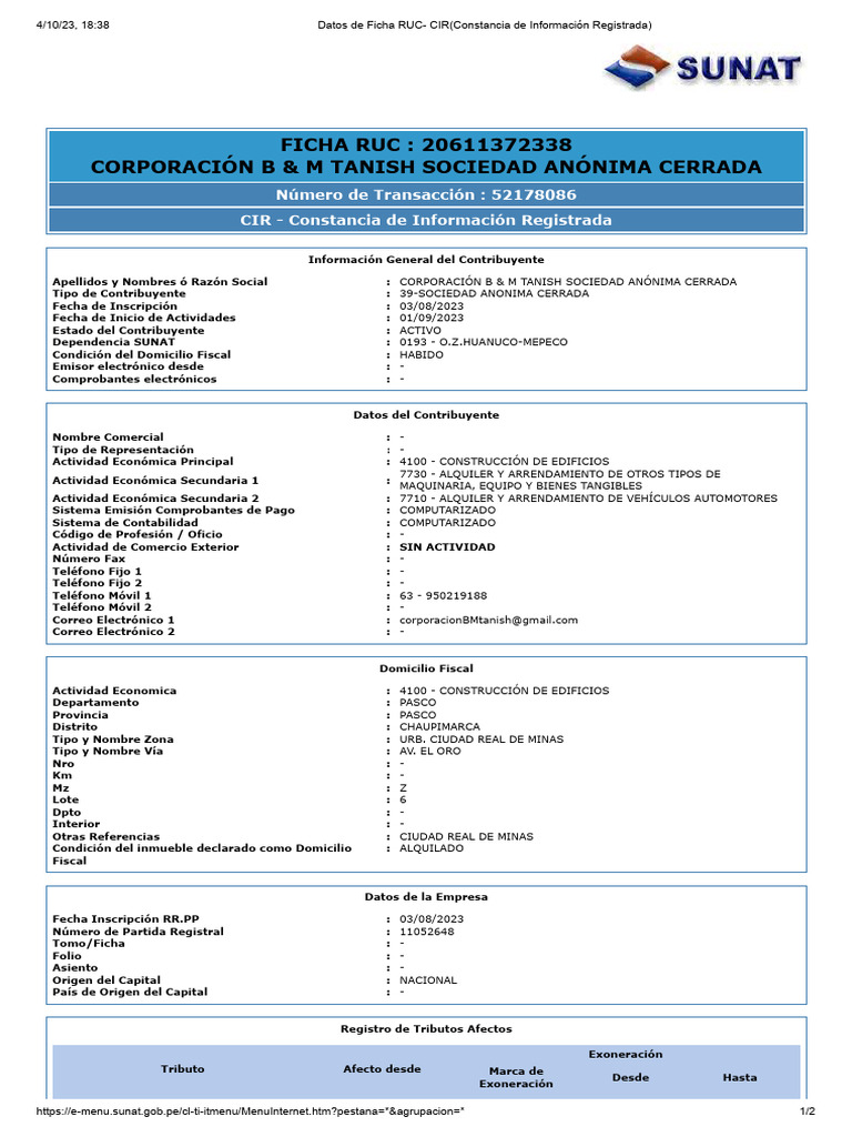 Ficha Ruc Tanish | PDF