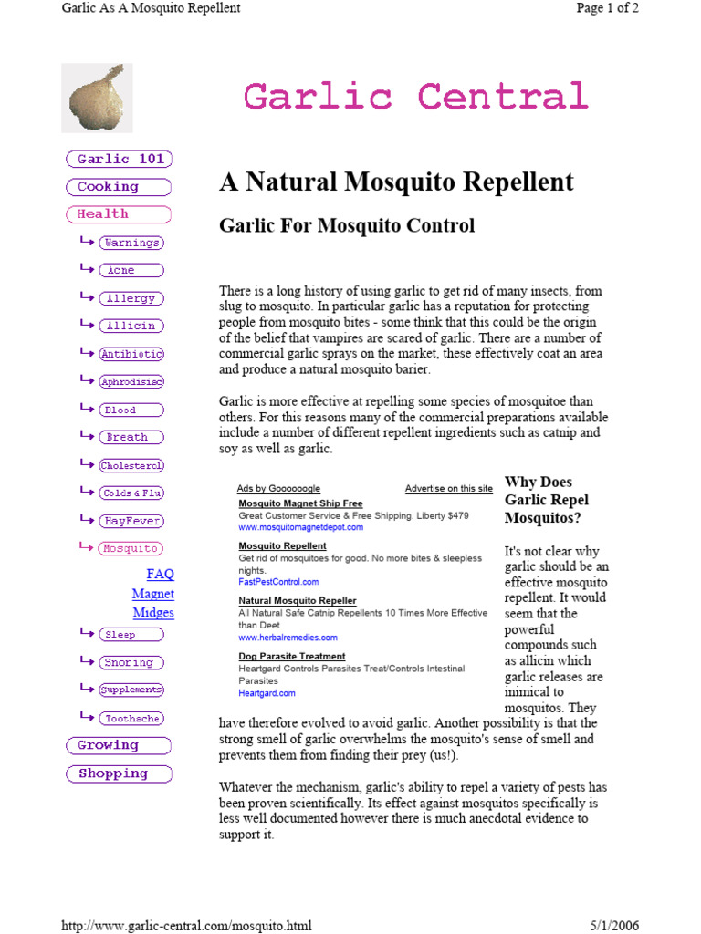 Garlic A Natural Mosquito Repellent 2006 | PDF | Garlic | Mosquito