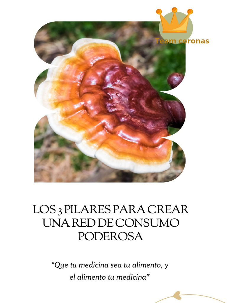 Workbook Fundamentos Ganoderma Lucidum | PDF