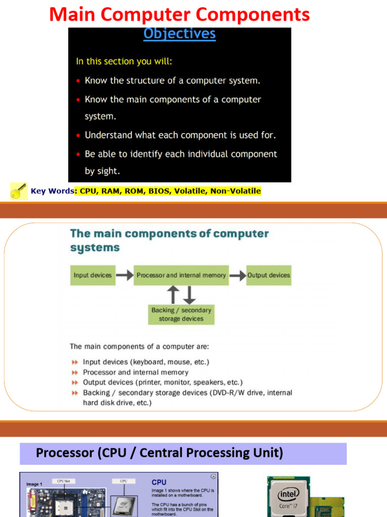 Juniors Computers-Main Computer Components | PDF