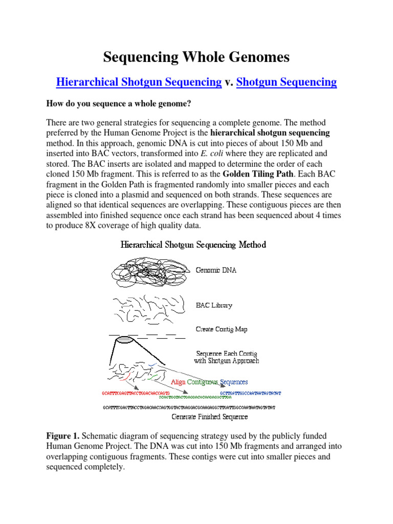 Sequencing Whole Genomes | PDF | Dna Sequencing | Genome