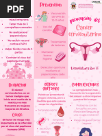 Triptico Cancer de Prostata | PDF | Cancer de prostata | Cáncer