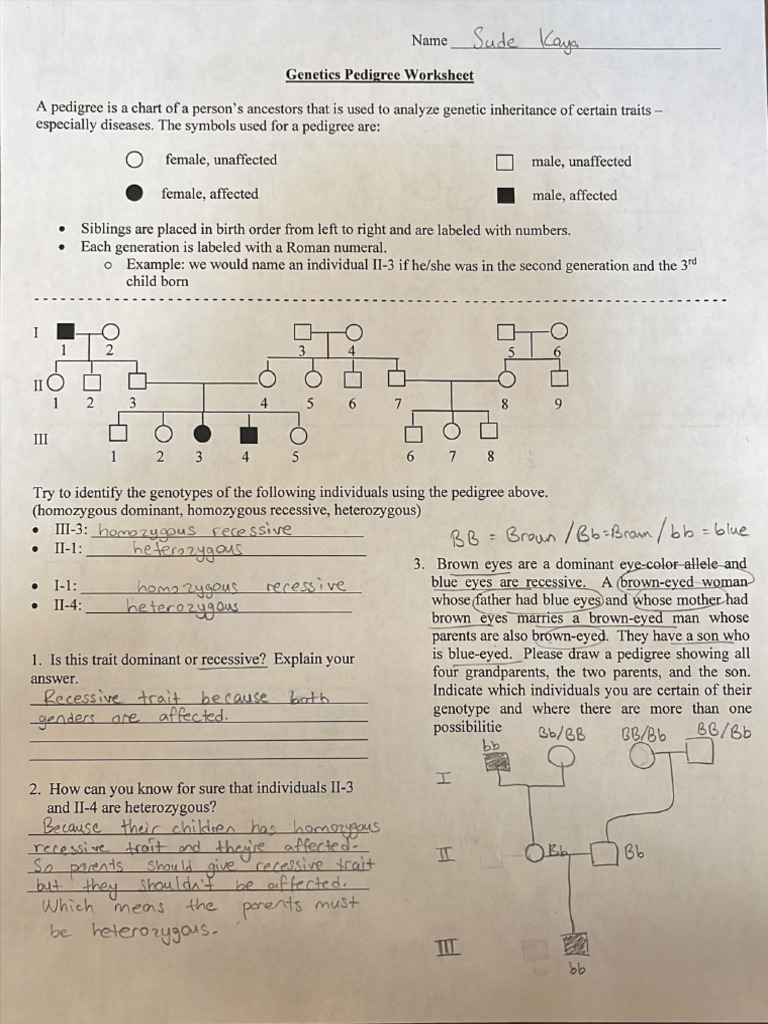 Worksheet | PDF