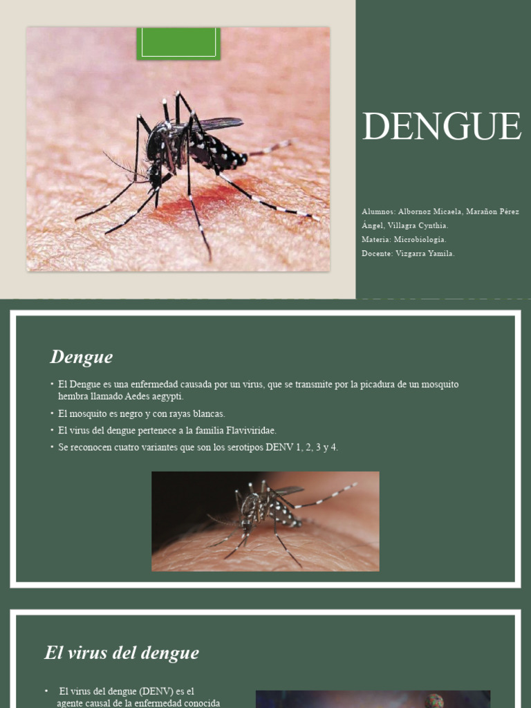 presentacion dengue-power | Descargar gratis PDF | Fiebre del zika | Virus