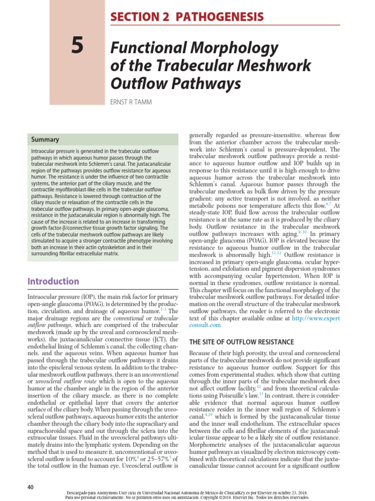 Functional Morphology | PDF | Glaucoma | Extracellular Matrix