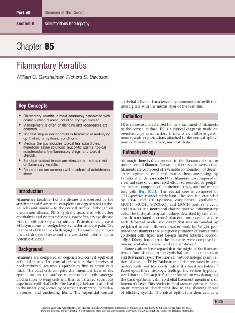 Queratitis Filamentaria | PDF | Epithelium | Cornea