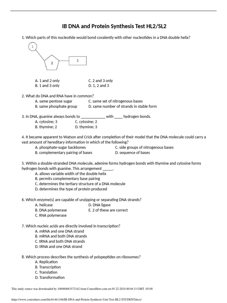 IB DNA and Protein Synthesis Unit Test HL2 STUDENT | PDF | Dna | Dna ...