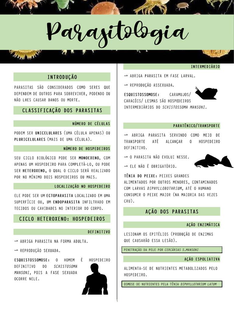 Resumo de Parasitologia | PDF