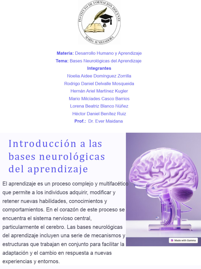 Bases Neurológicas Del Aprendizaje. | PDF | Sinapsis | Neurona