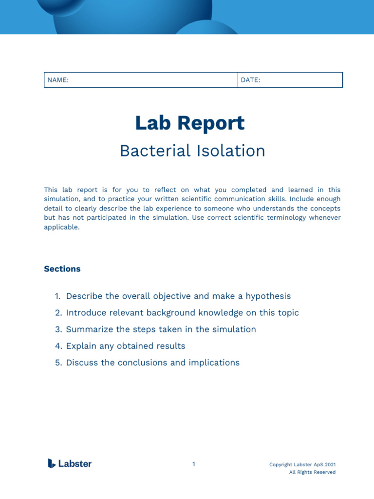 Lab Report Bacterial Isolation Updated Download Free Pdf Theory