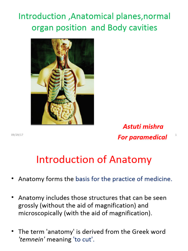 Anatomy Basics for Paramedics | PDF | Anatomical Terms Of Motion ...