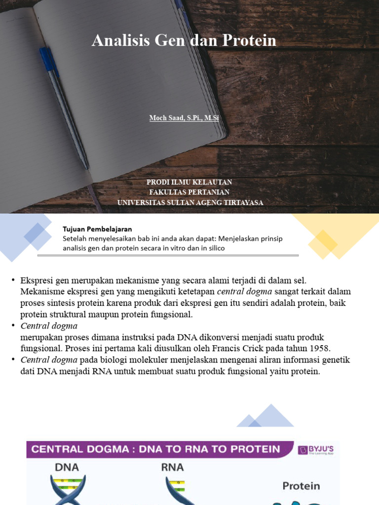 Pert 4 Analisa Gen Dan Protein | PDF | Sains & Matematika | Komputer