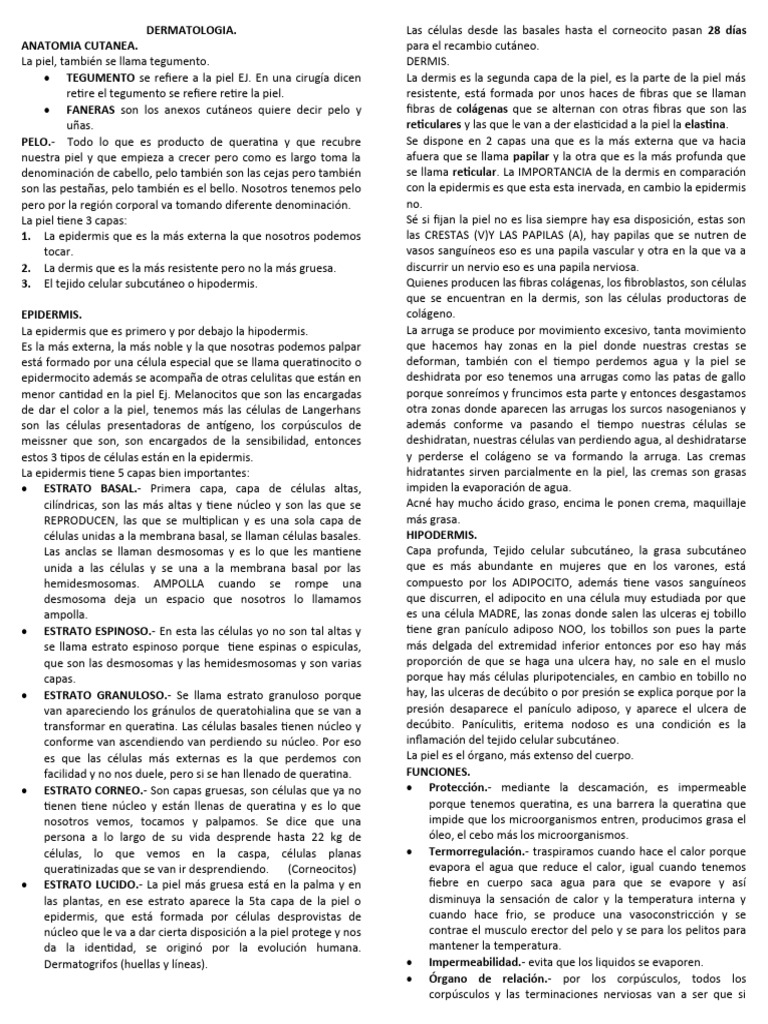 Resumen Dermatologia | PDF | Sistema tegumentario | Piel