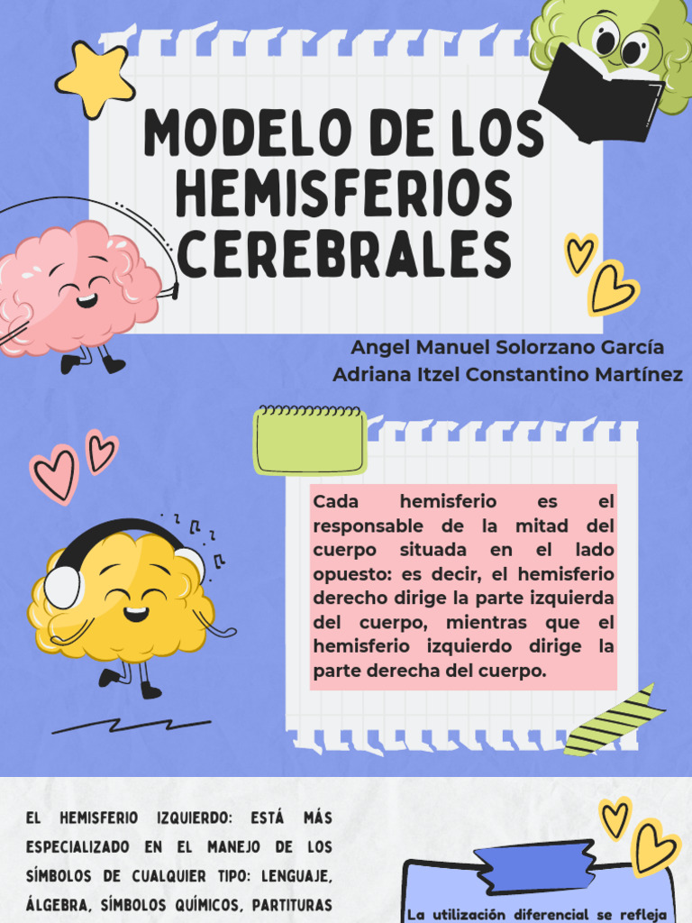 Dominancia de los Hemisferios Cerebrales | PDF | Hemisferio cerebral ...