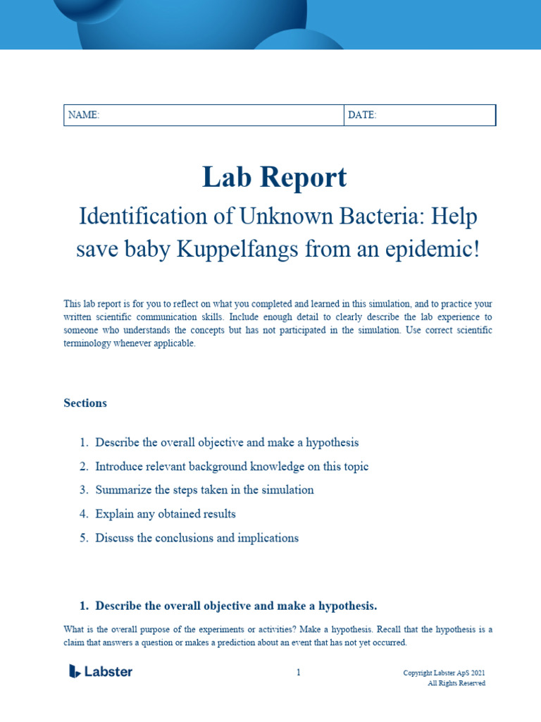 Lab Report - Identification of Unknown Bacteria - Updated | PDF ...