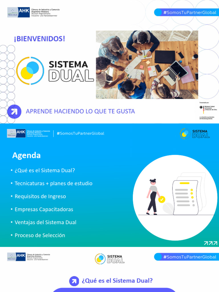 Sistema Dual: Formación y Oportunidades | PDF | Business | Software
