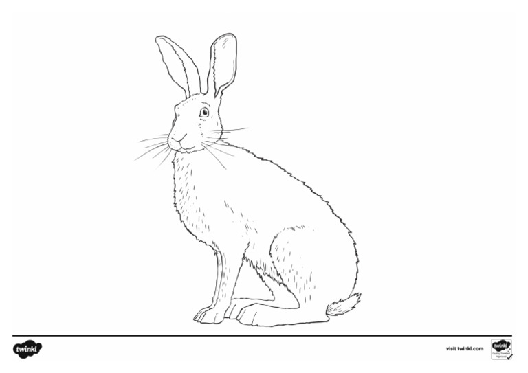 Arctic Hare Colouring Sheet - Ver - 1 | PDF