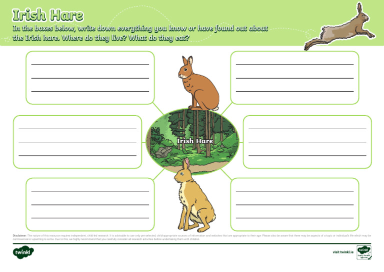 Roi SC 1715172900 Irish Hare Mind Map - Ver - 1 | PDF