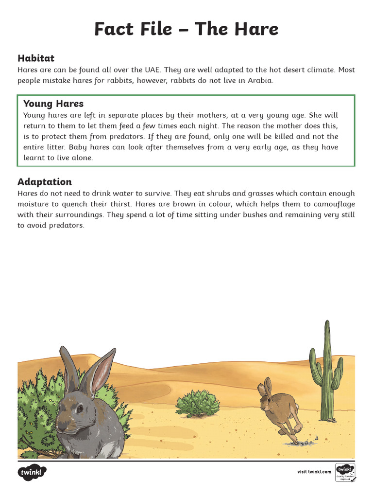 Ui2 SC 49 Hare Fact File Ver 2 | PDF | Science & Mathematics ...