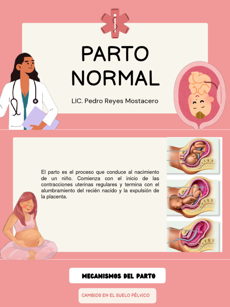 DIAPOSITIVA PARTO NORMAL | PDF | Parto | Pelvis