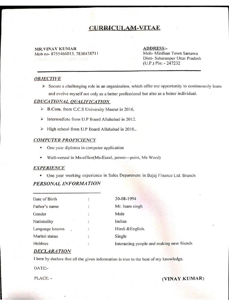 Vinay Resume | PDF