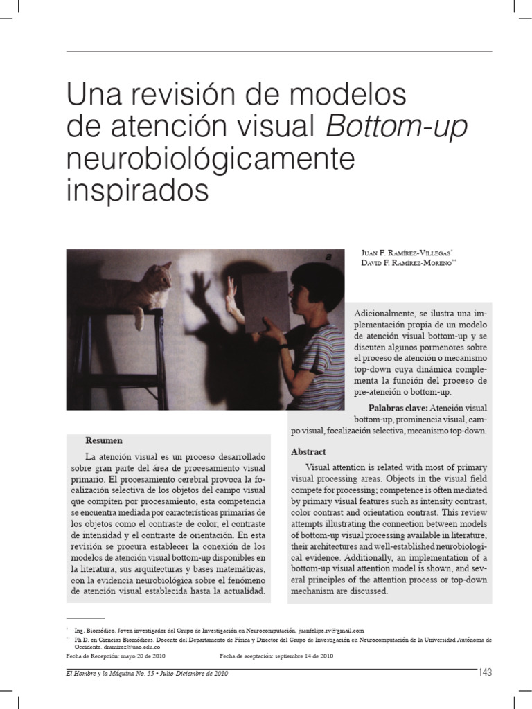 Una Revisión de Modelos de Atención Visual Bottom-Up ...