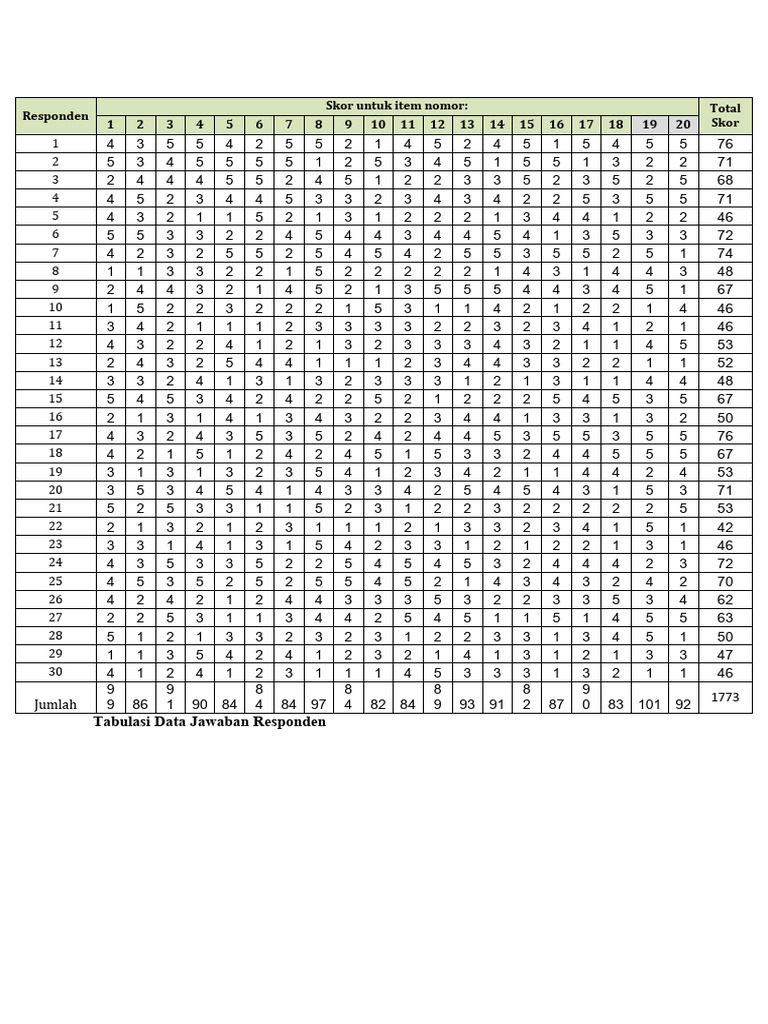 Validitas Data | PDF