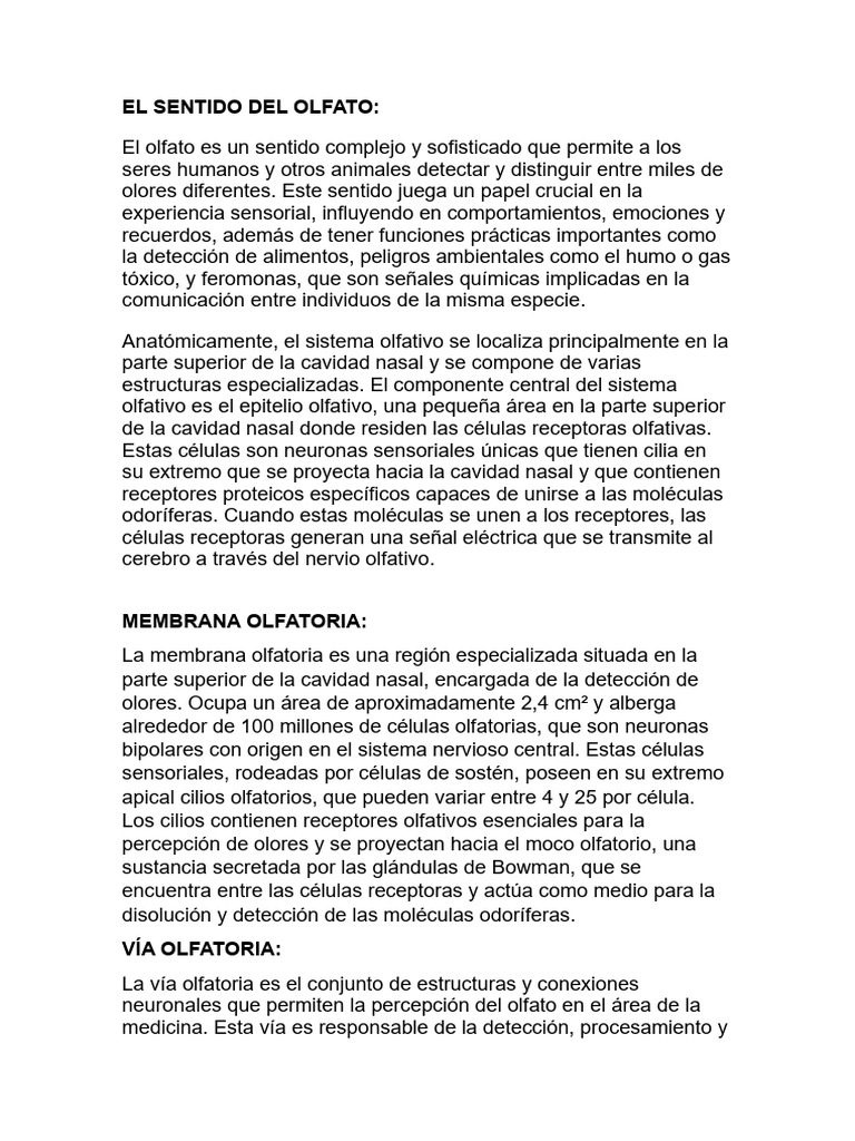 El Sentido Del Olfato | PDF | Sistema olfativo | Corteza cerebral