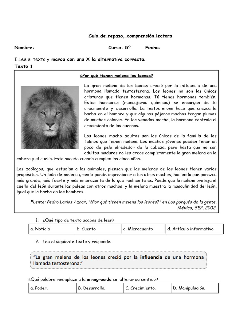 Guia Repaso Comprensión Lectora | PDF | León | Comportamiento