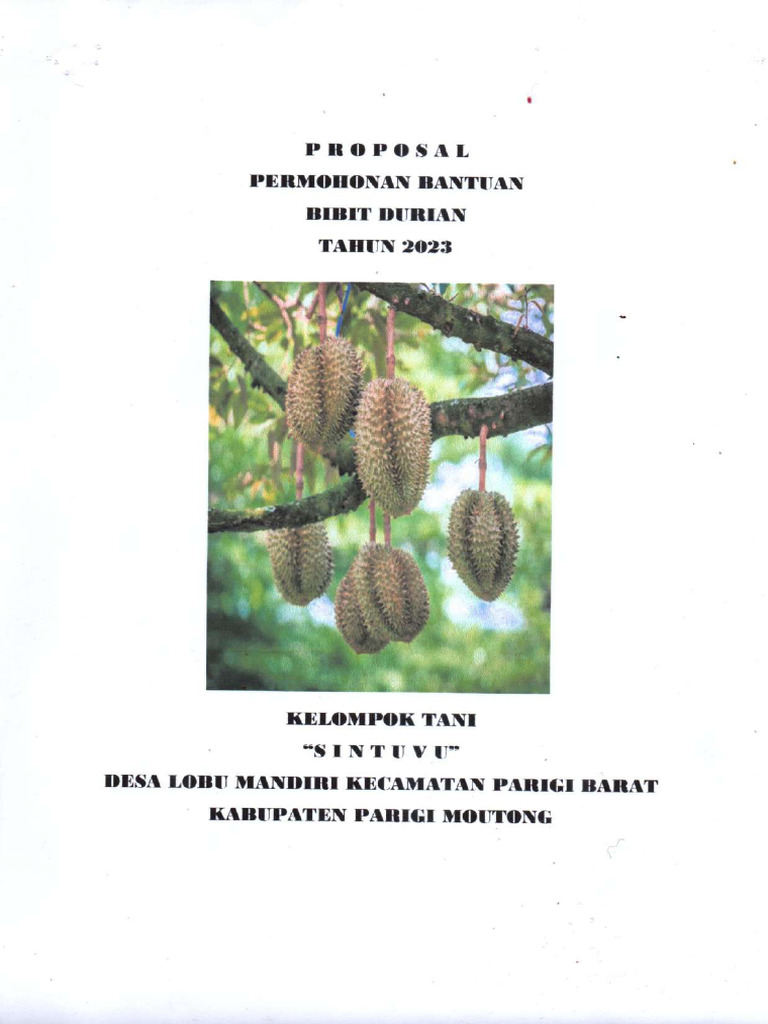 Proposal Durian Kelompok Sintuvu | PDF