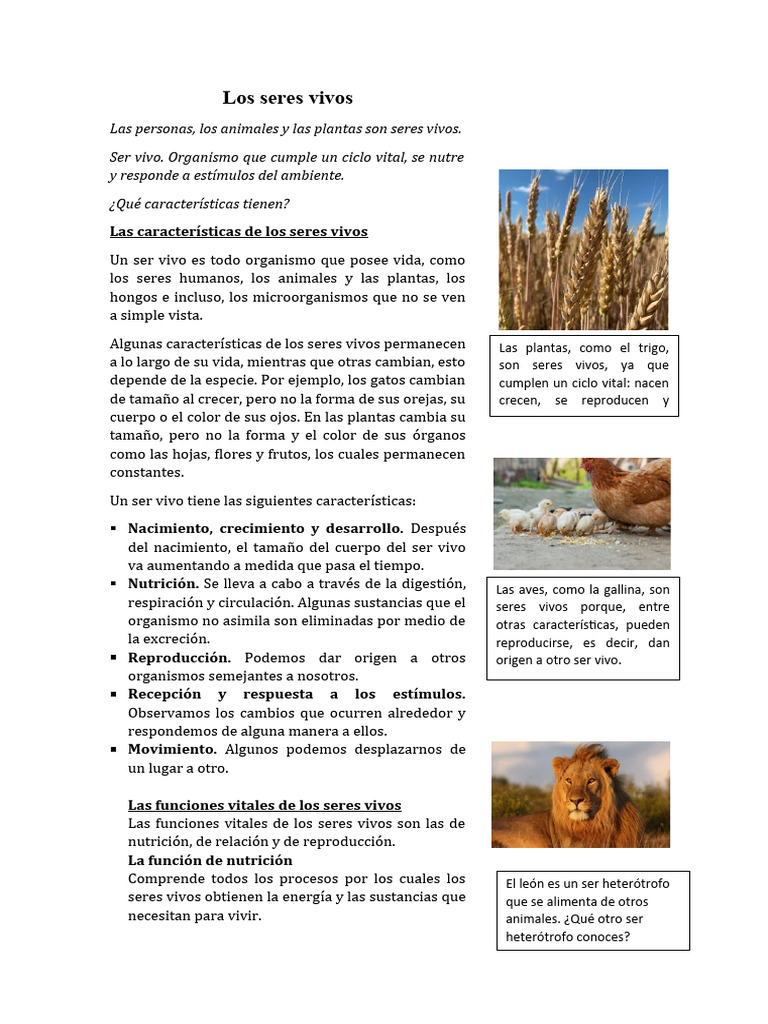 Material Cyt Seres Vivos | PDF | Reproducción | Plantas