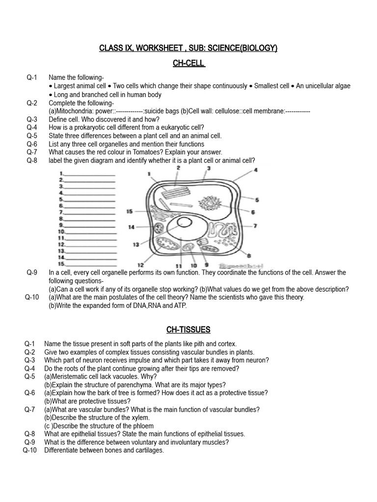 Class 9 Worksheet(Bio) | Download Free PDF | Cell (Biology) | Tissue ...