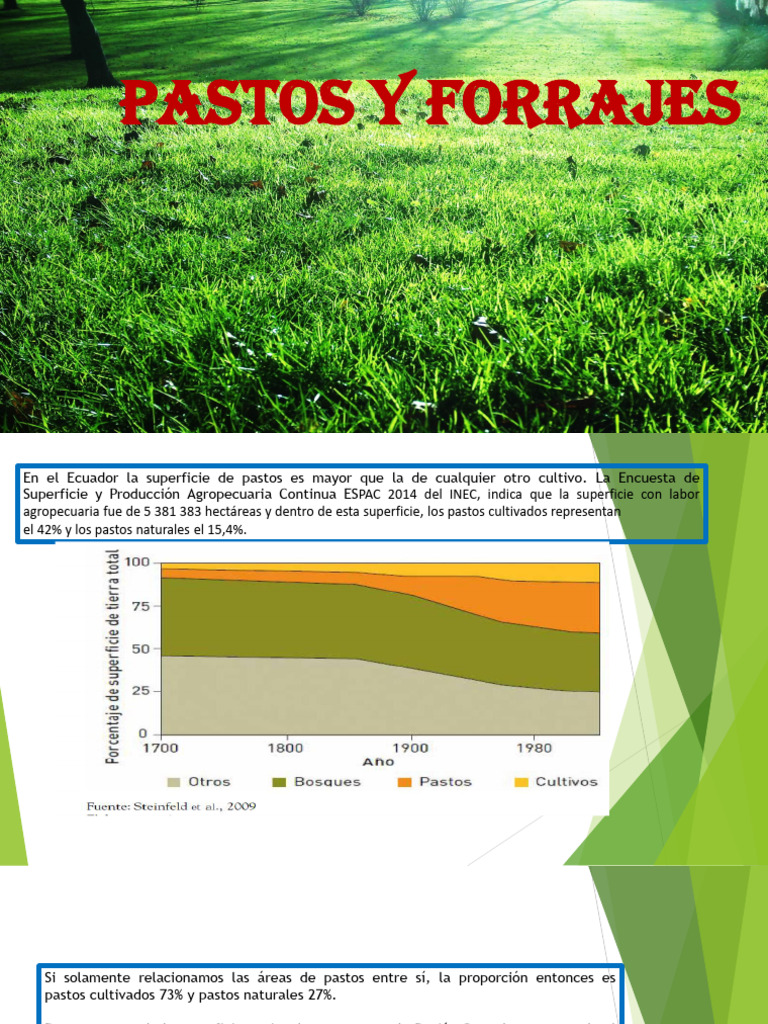 Pastos y Forrajes | Descargar gratis PDF | Pasto | Pradera