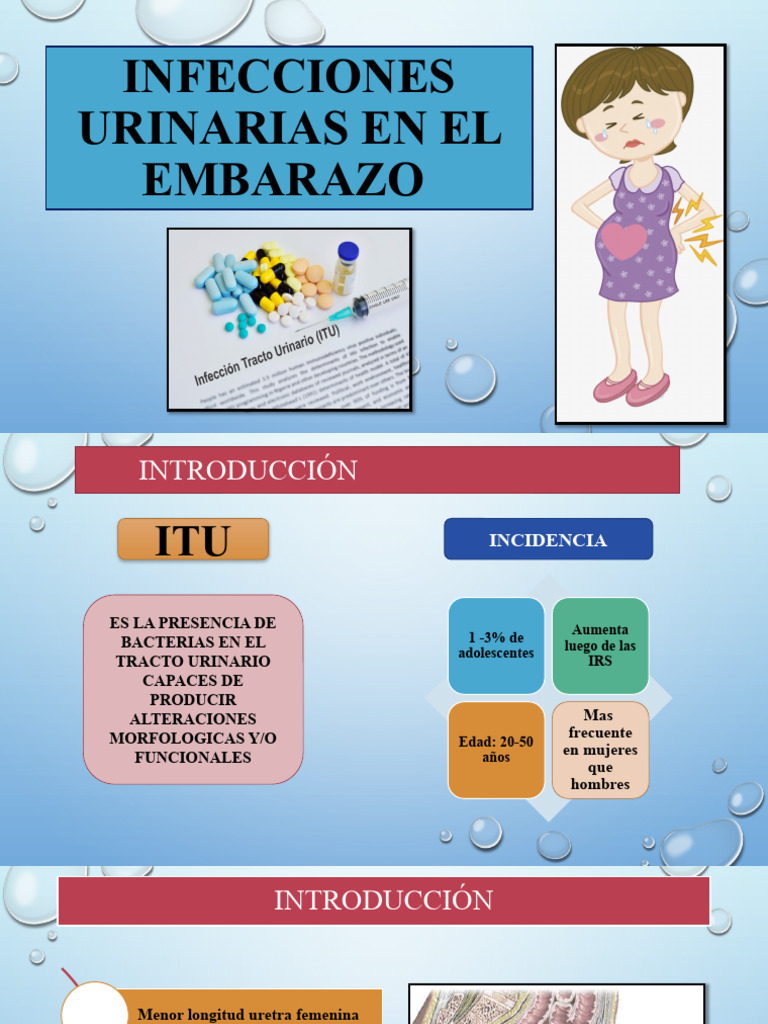 Infecciones Urinarias en Embarazo | PDF | El embarazo | Especialidades ...