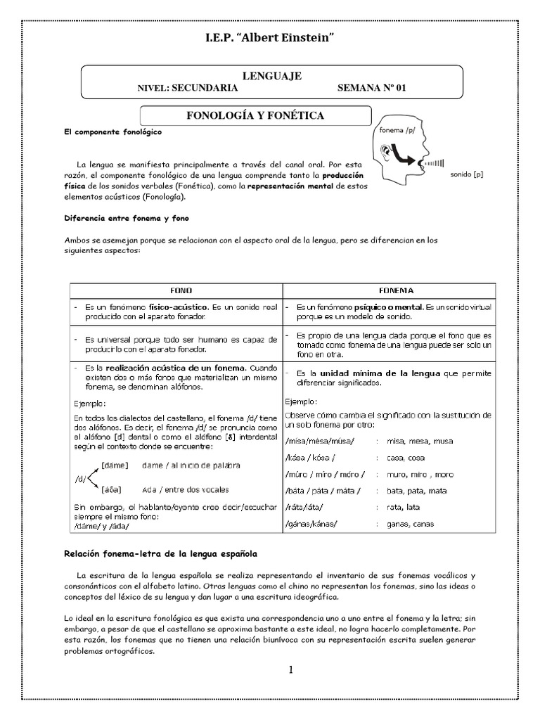 MODULO DE LENGUAJE 1 | PDF | Fonología | Fonema
