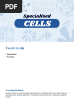 Specialised Cells Worksheet With Answers | PDF | Cell (Biology ...