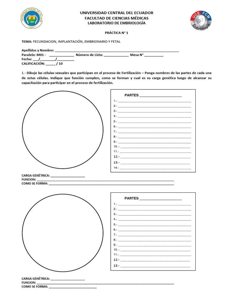 Hoja Informe Practica N°1 - Fecundacion - Implantacion - Periodo ...