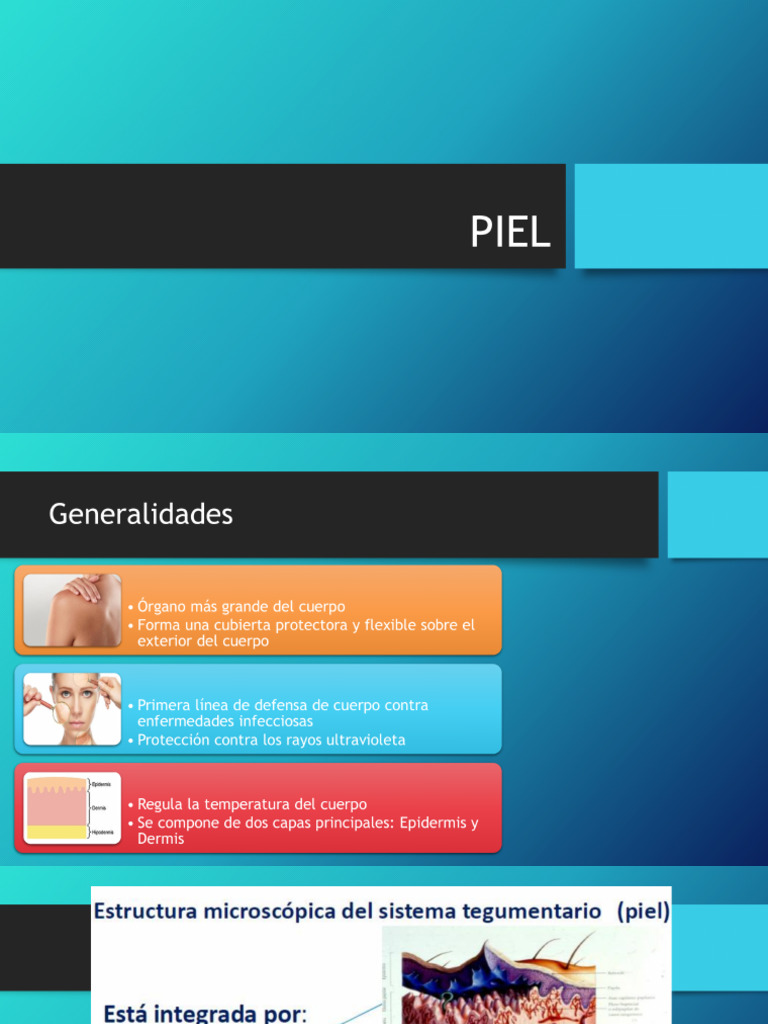Tema 2 - Fisiología y Generalidades de La Piel | PDF