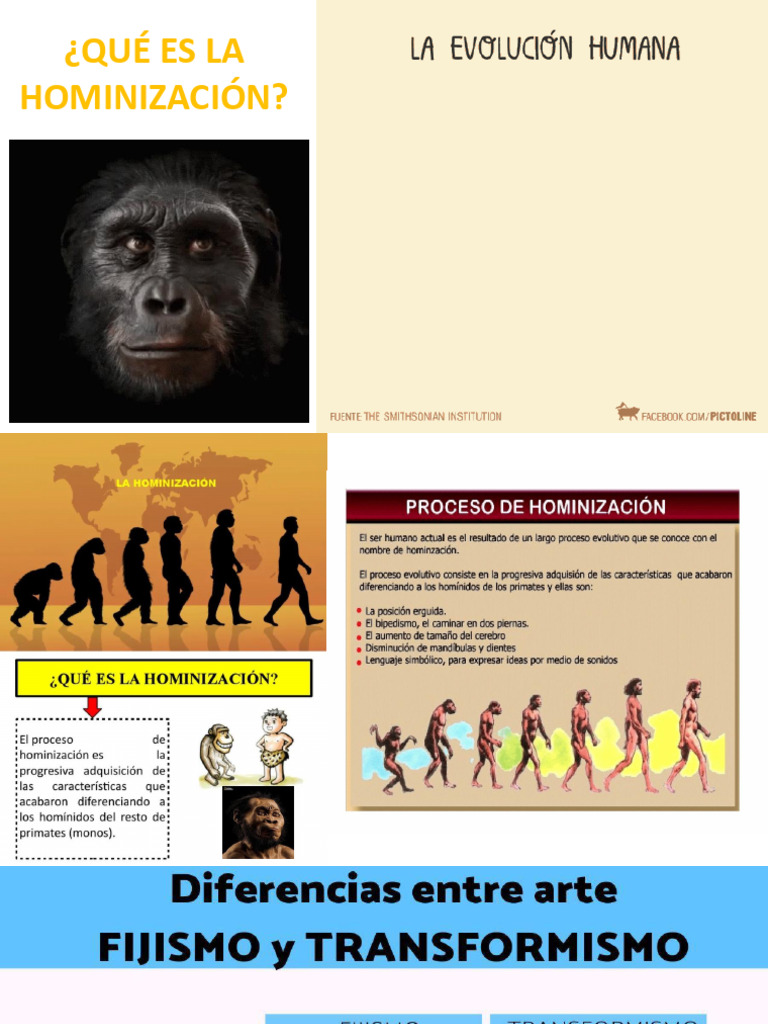 01 - Prehistoria - Hominización - Historia Universal - Victor Ayala ...